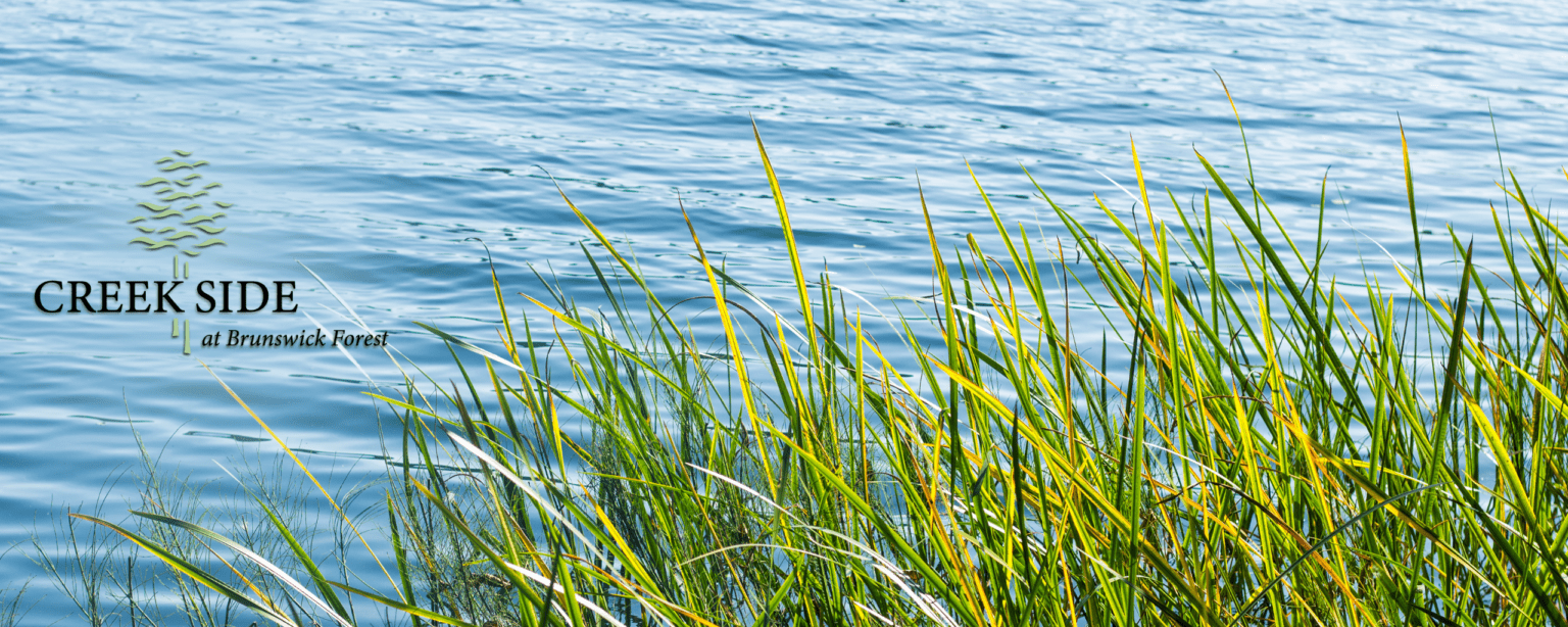 Neighborhoods | Brunswick Forest